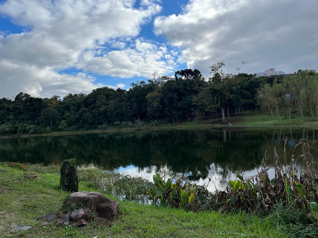 Assinada ordem para obra de despoluição do Lago Fasolo, em Bento ...